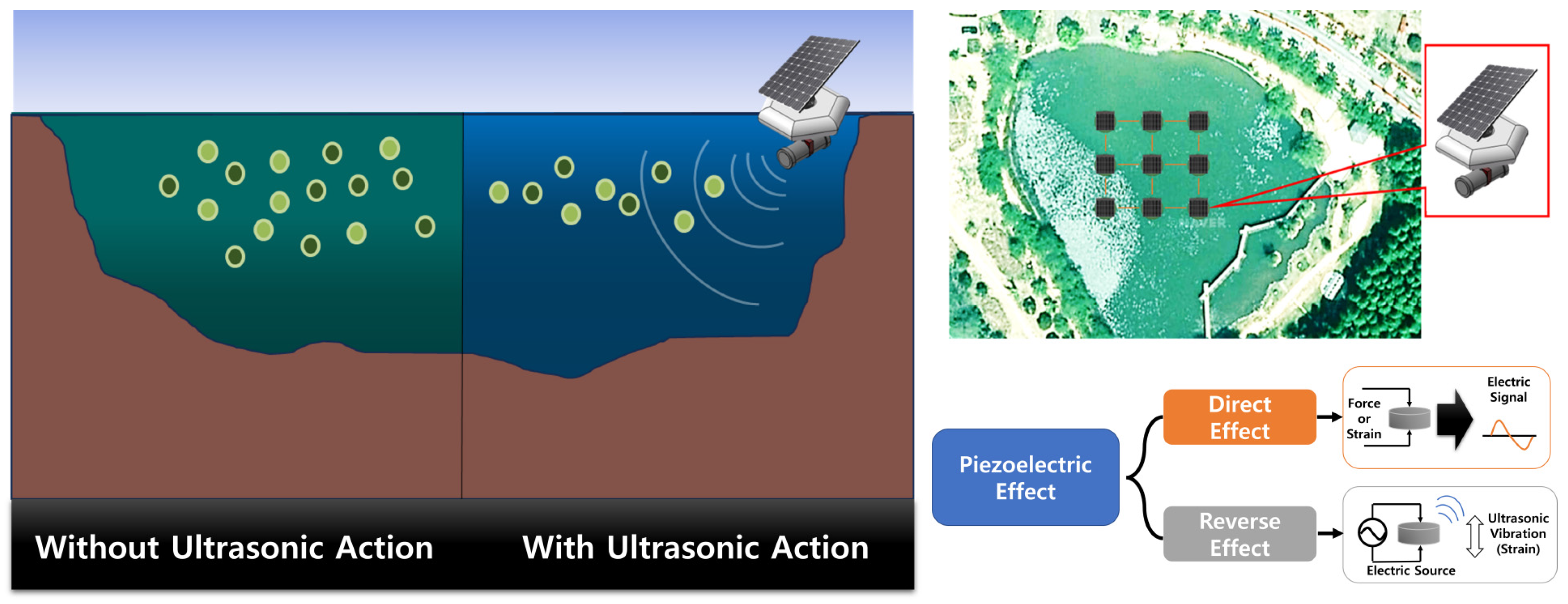 Optimal Design and Operation of an Ultrasonic Driving System for Algae ...