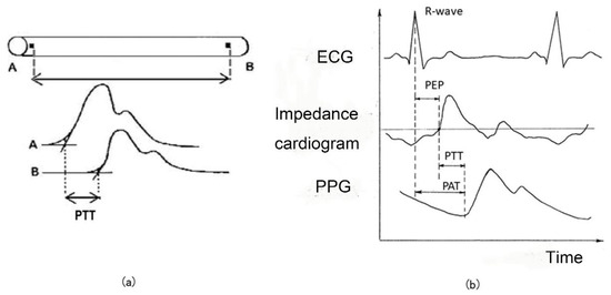 Cuffless Blood Pressure Monitor for Home and Hospital Use