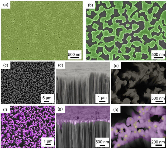 Pd-Decorated SnO2 Nanofilm Integrated on Silicon Nanowires for Enhanced ...