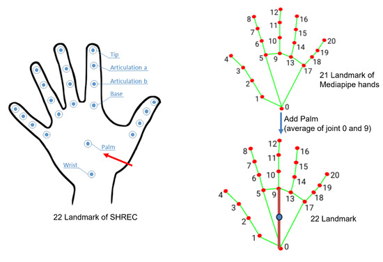 Spatio-Temporal Transformer with Kolmogorov–Arnold Network for Skeleton ...