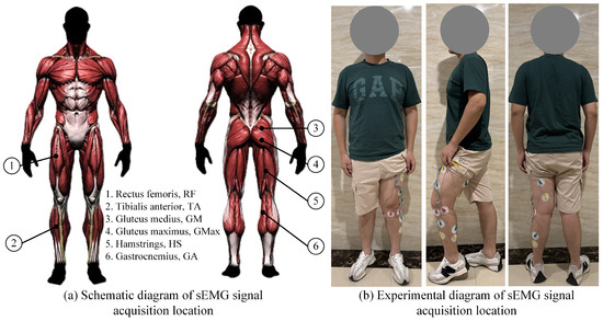 An Active Control Method for a Lower Limb Rehabilitation Robot with ...