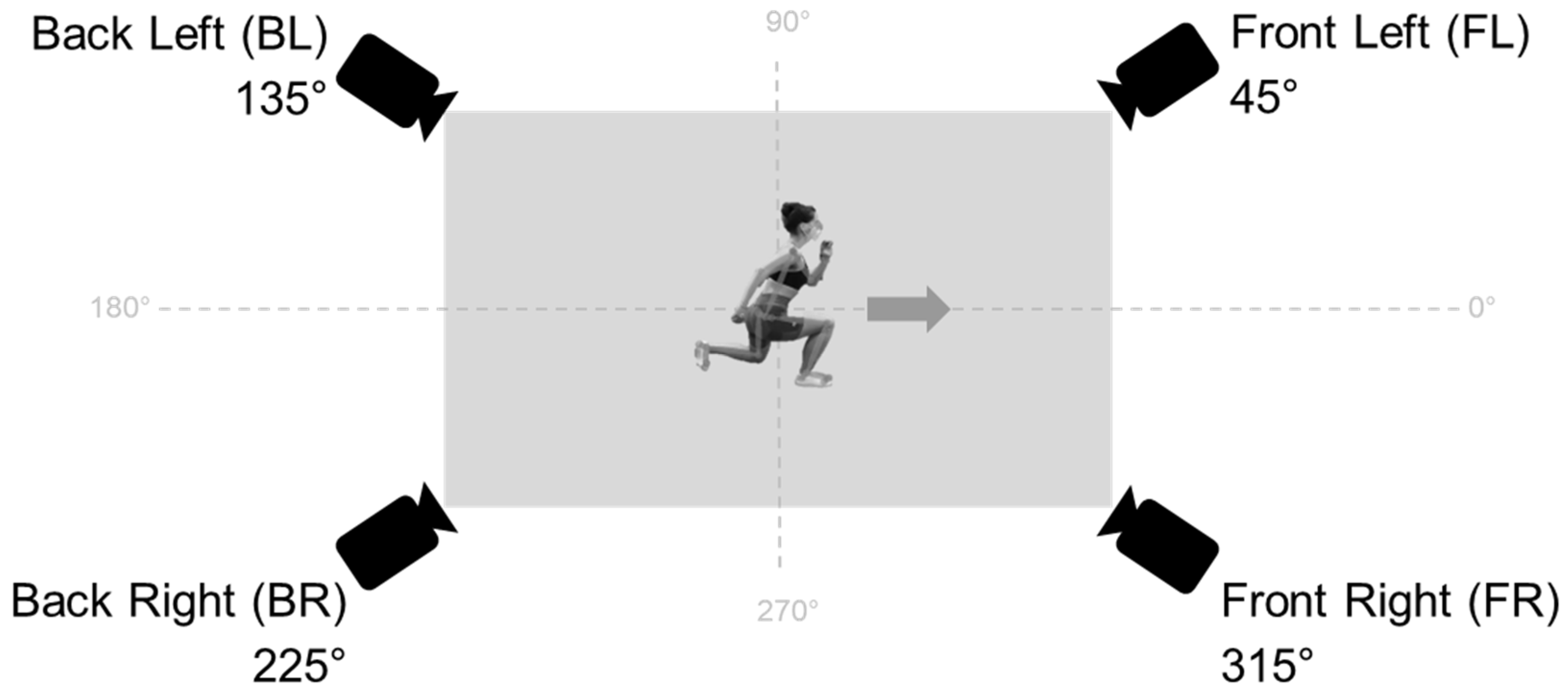 Influence of the Camera Viewing Angle on OpenPose Validity in Motion ...