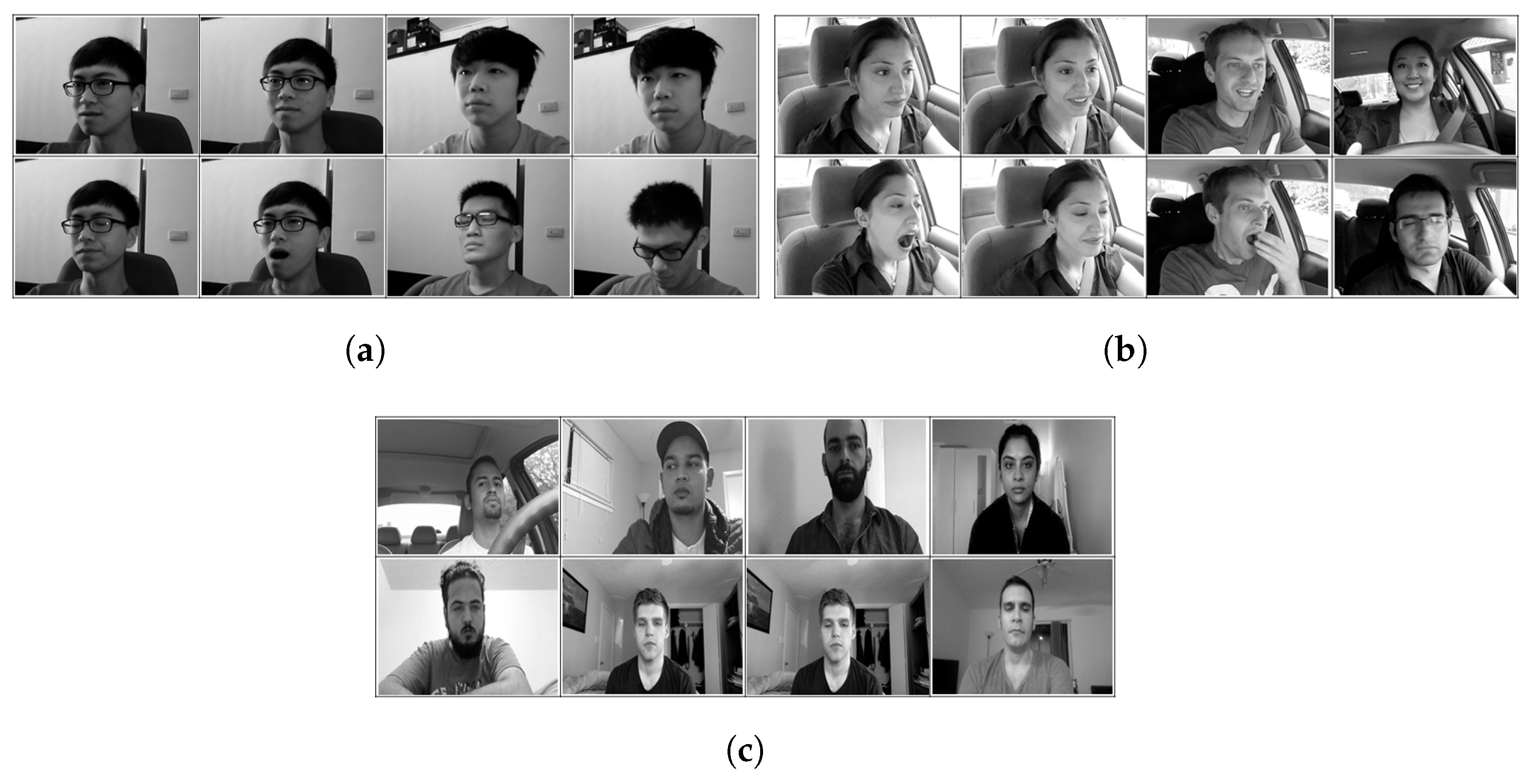 Real-Time Driver Drowsiness Detection Using Facial Analysis and Machine ...