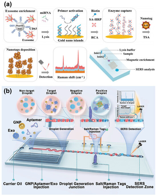 Recent Advances in Aptamer-Based Microfluidic Biosensors for the Isolation, Signal Amplification ...