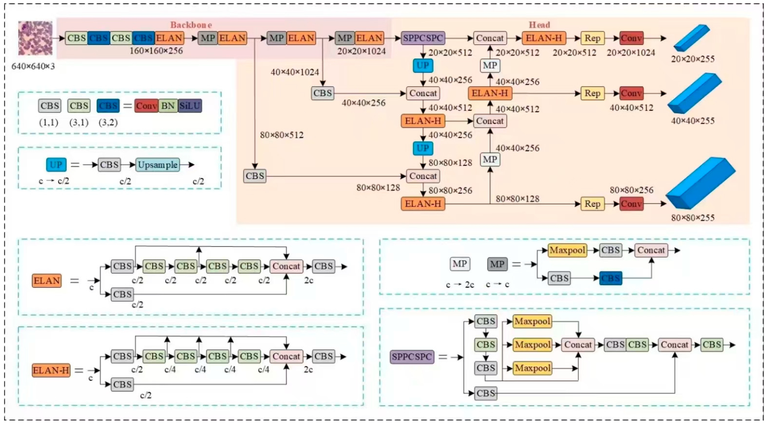 Research on Blood Cell Image Detection Method Based on Fourier ...