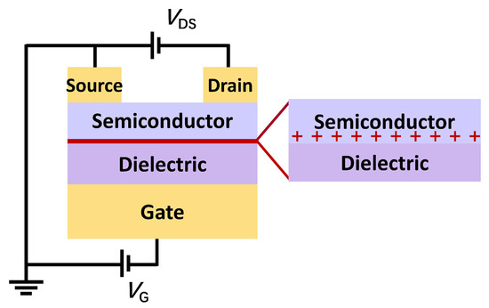 Recent Progress in Intrinsically Stretchable Sensors Based on Organic ...