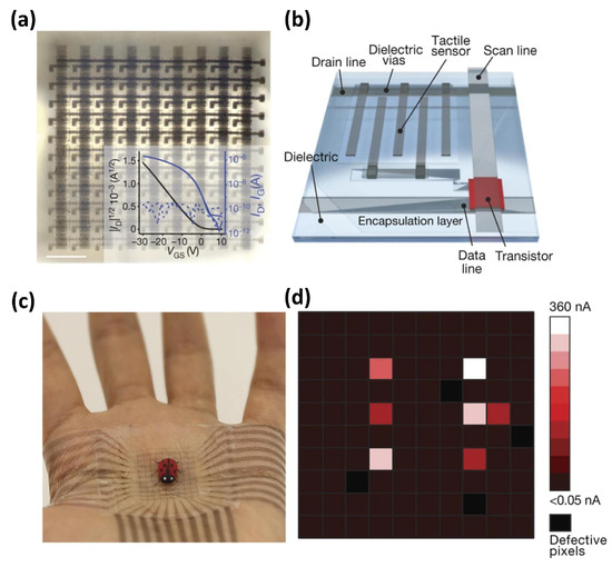 Recent Progress in Intrinsically Stretchable Sensors Based on Organic ...