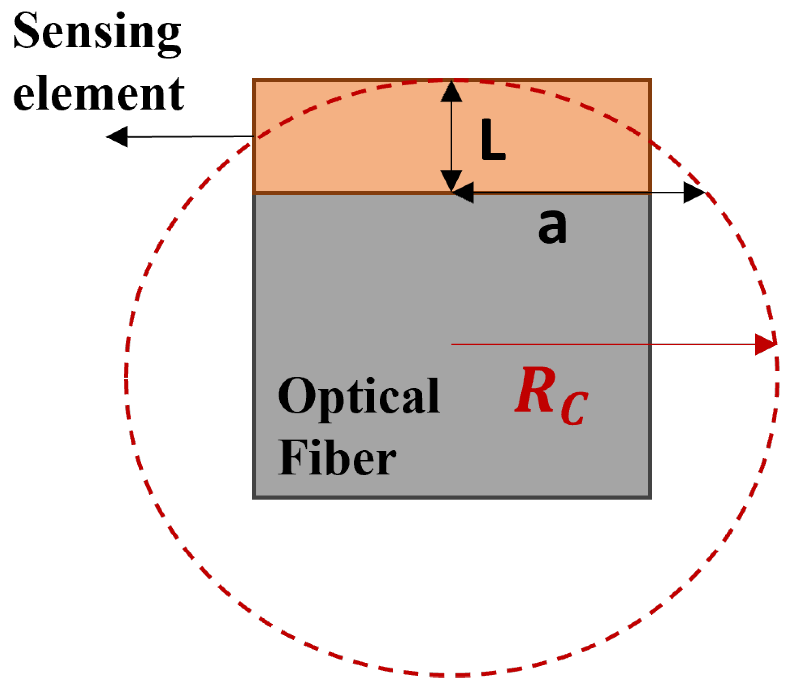 Curved Fabry-Pérot Ultrasound Detectors: Optical and Mechanical Analysis