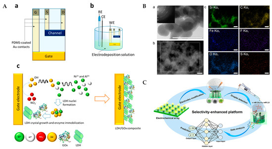 A Comprehensive Review of Advanced Lactate Biosensor Materials, Methods ...