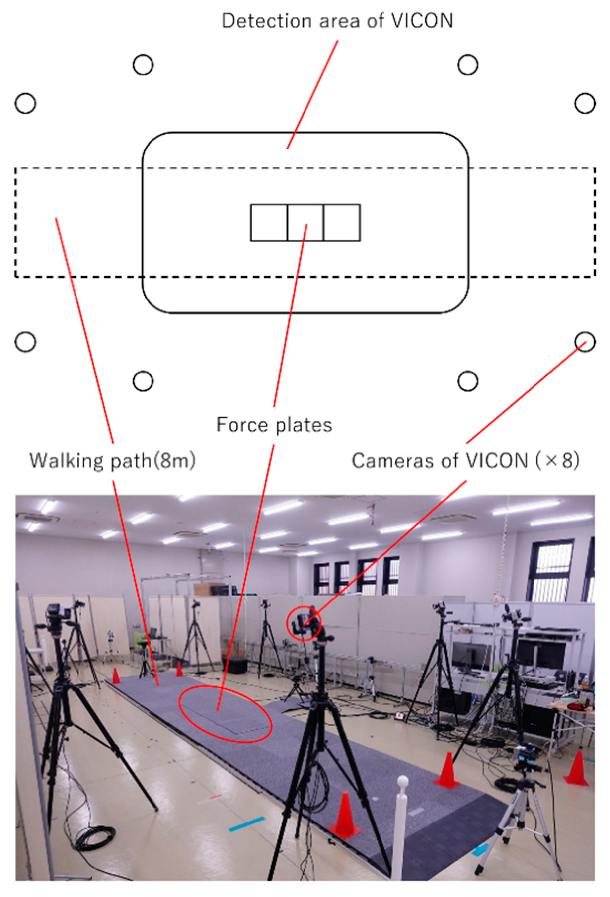 Reliability and Validity Examination of a New Gait Motion Analysis System