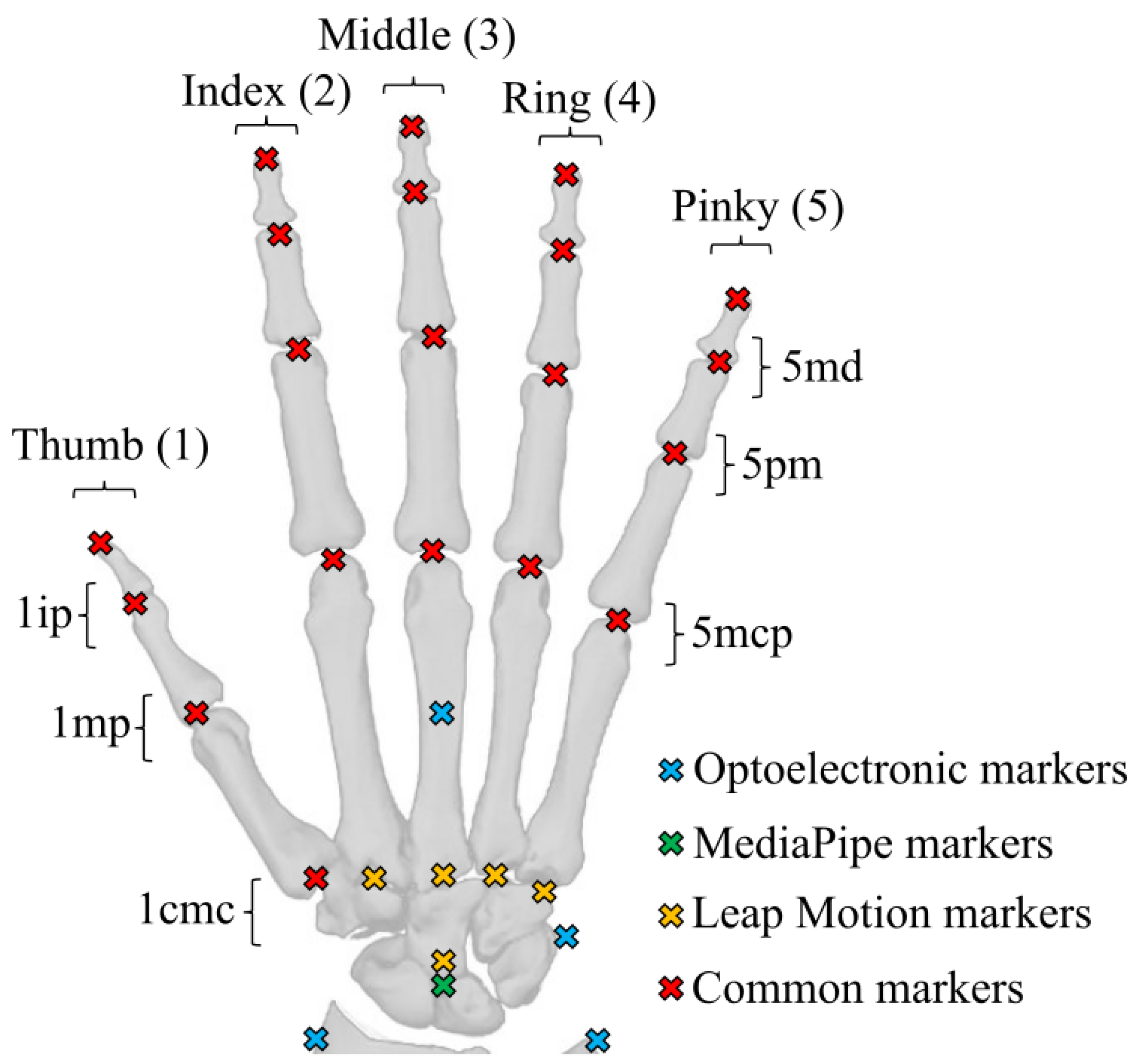 Optimisation and Comparison of Markerless and Marker-Based Motion Capture Methods for Hand and ...