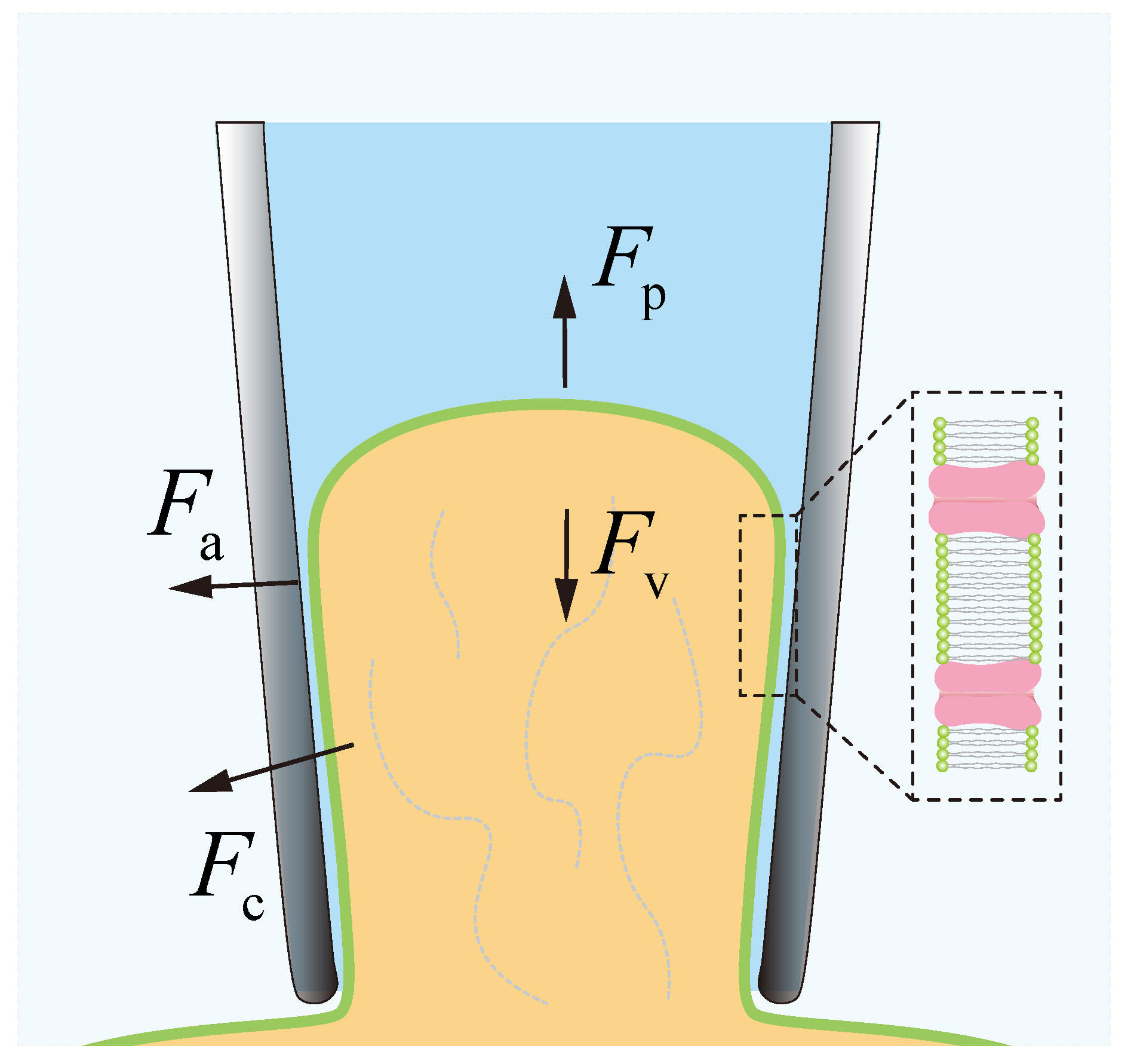 Robotic Fast Patch Clamp in Brain Slices Based on Stepwise Micropipette ...