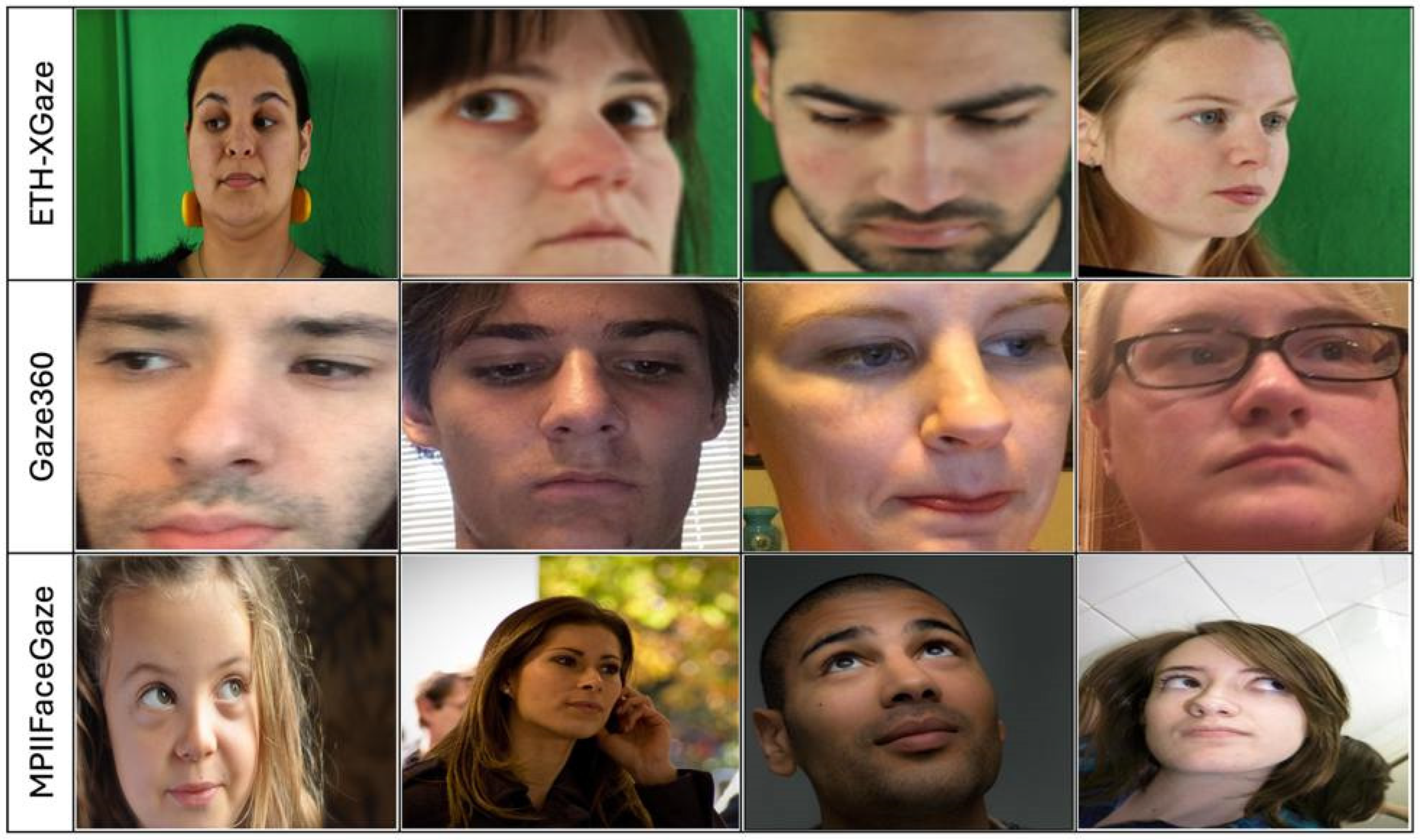 GazeCapsNet: A Lightweight Gaze Estimation Framework