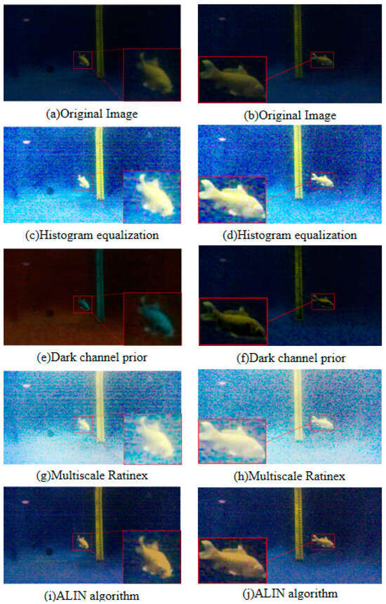 Enhancing Underwater Images of a Bionic Horseshoe Crab Robot Using an Artificial Lateral ...