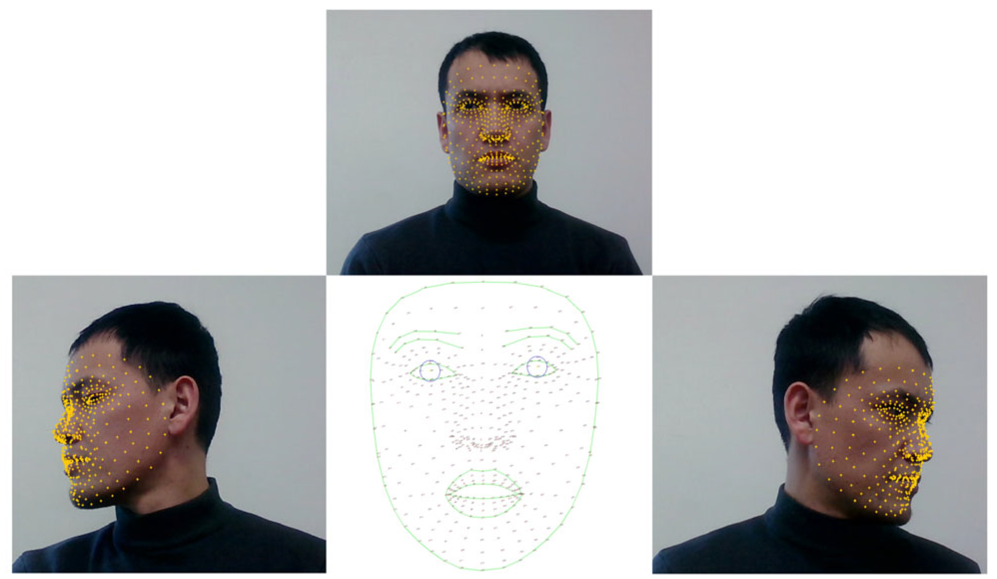 Joint Driver State Classification Approach: Face Classification Model Development and Facial ...
