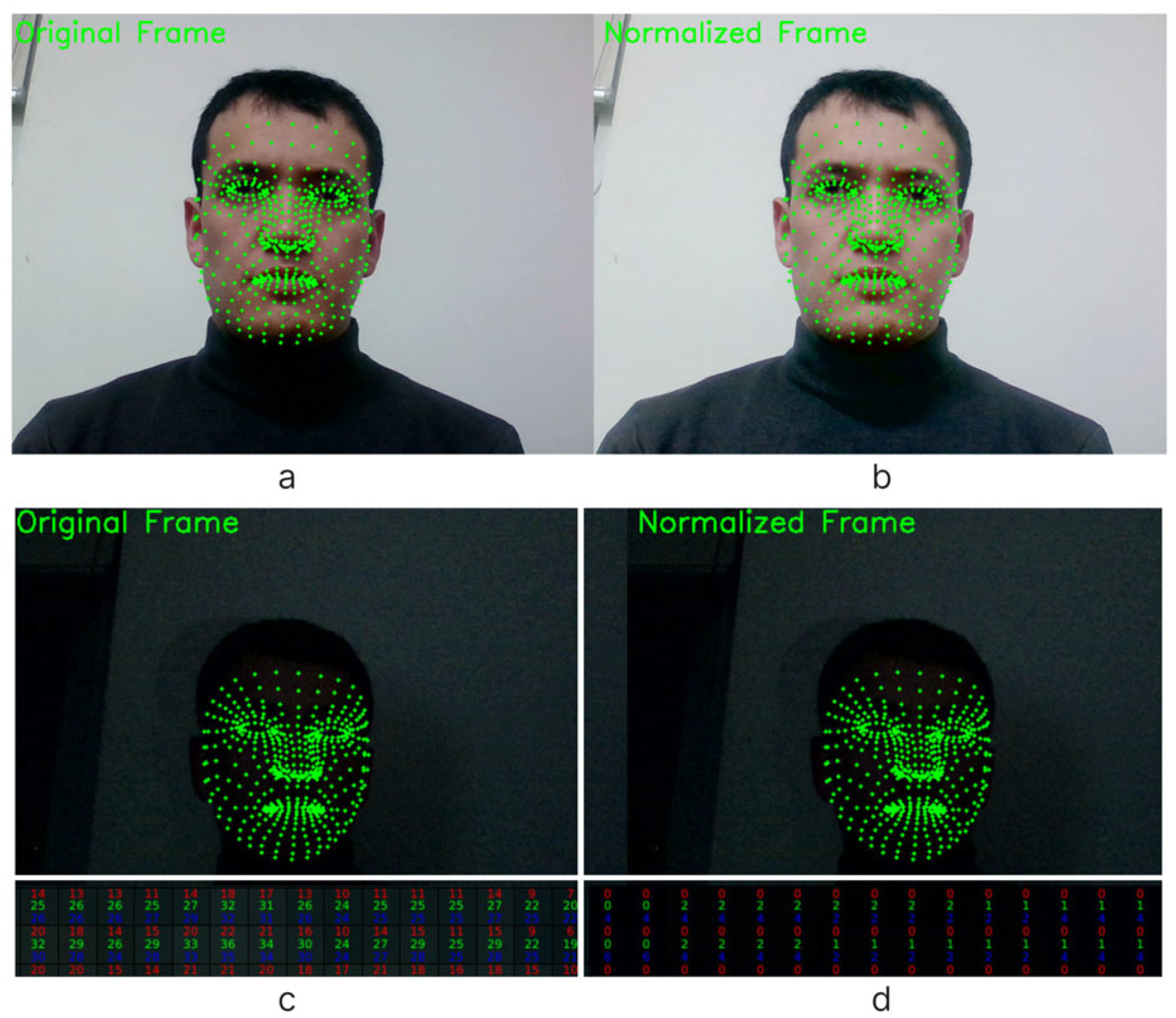 Joint Driver State Classification Approach: Face Classification Model Development and Facial ...