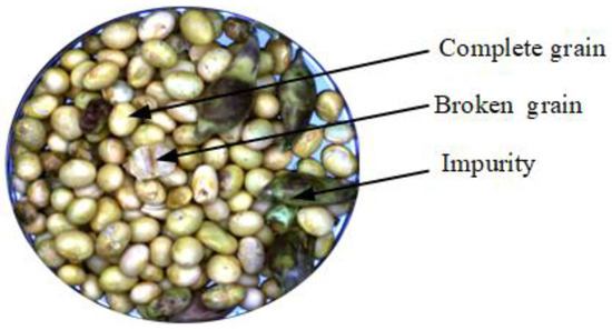 Classification and Recognition of Soybean Quality Based on ...
