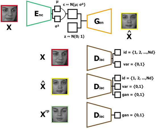 AD-VAE: Adversarial Disentangling Variational Autoencoder