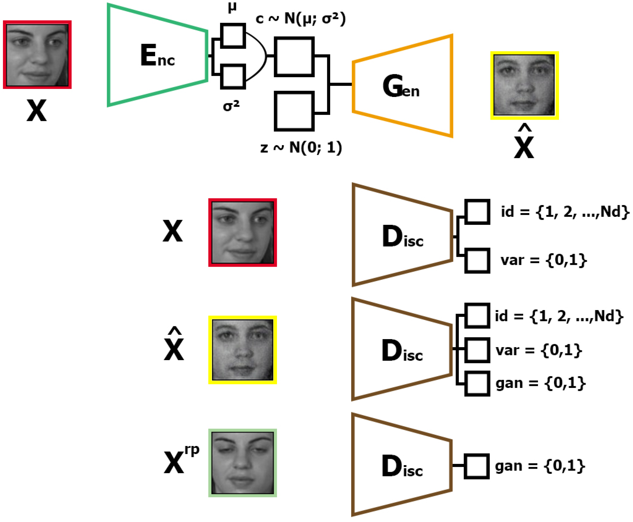AD-VAE: Adversarial Disentangling Variational Autoencoder