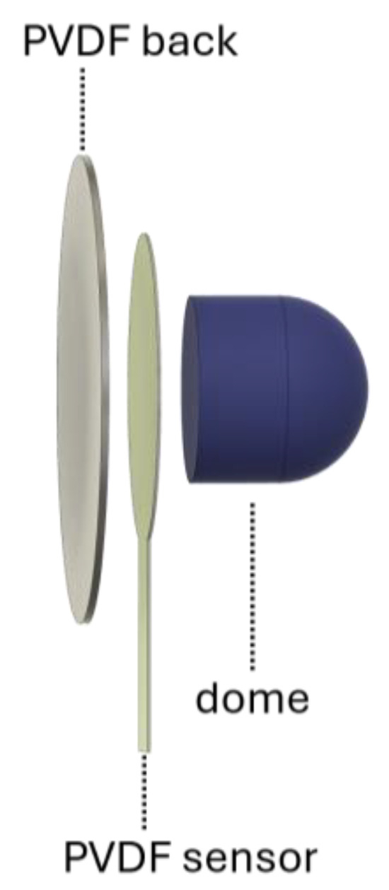 A Flexible PVDF Sensor for Forcecardiography