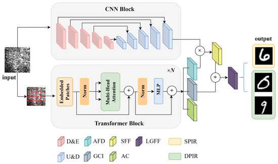 Adaptive Vectorial Restoration from Dynamic Speckle Patterns Through Biological Scattering Media ...