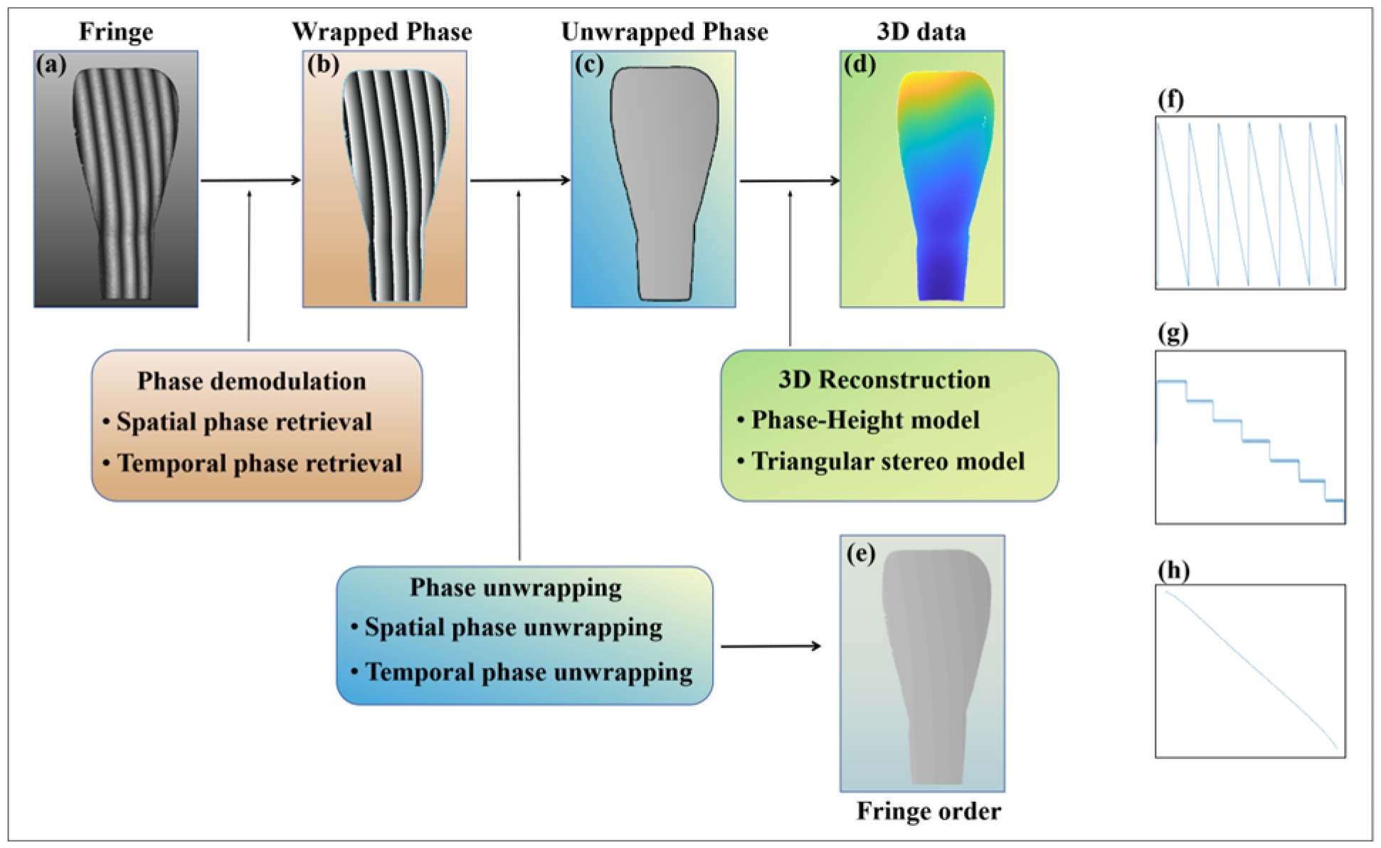 Single Fringe Phase Retrieval for Translucent Object Measurements Using a Deep Convolutional ...