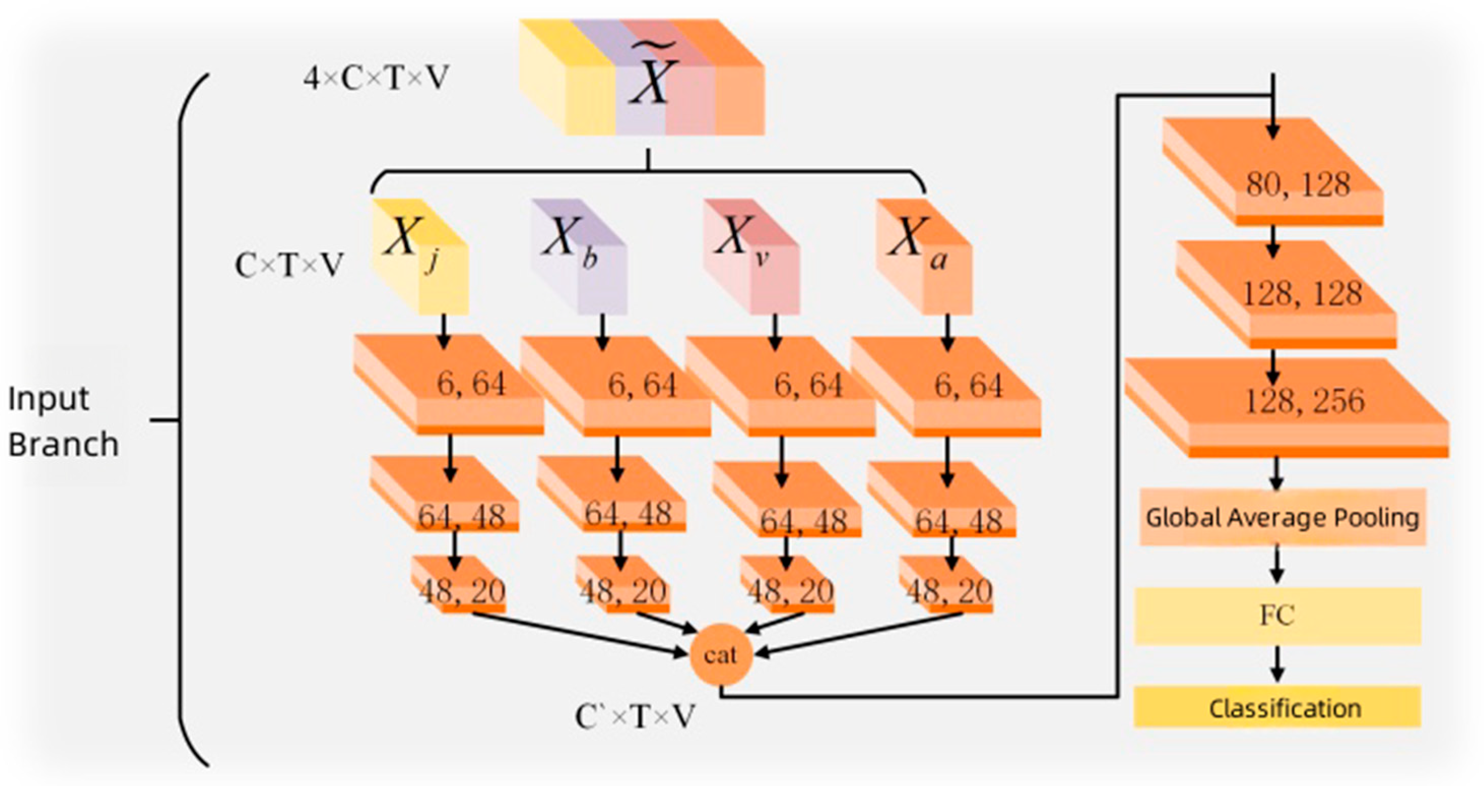Semantics-Assisted Training Graph Convolution Network for Skeleton-Based Action Recognition