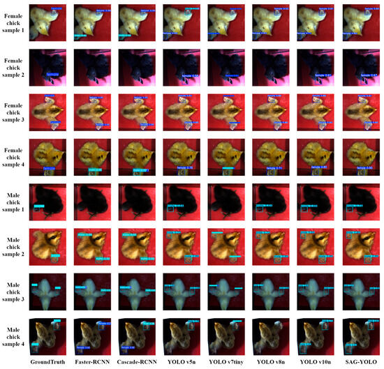 SAG-YOLO: A Lightweight Real-Time One-Day-Old Chick Gender Detection Method