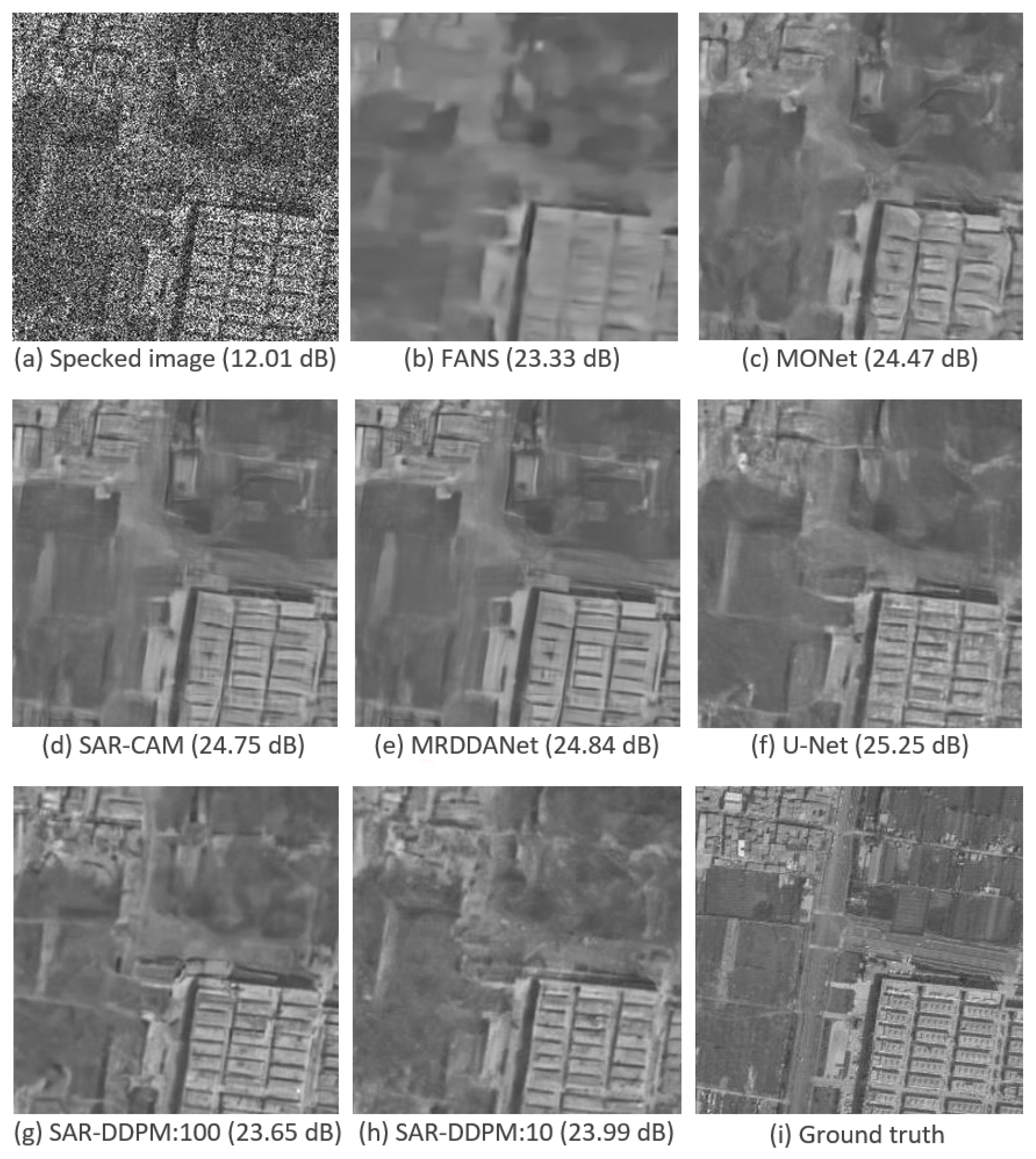 On Denoising Diffusion Probabilistic Models for Synthetic Aperture ...