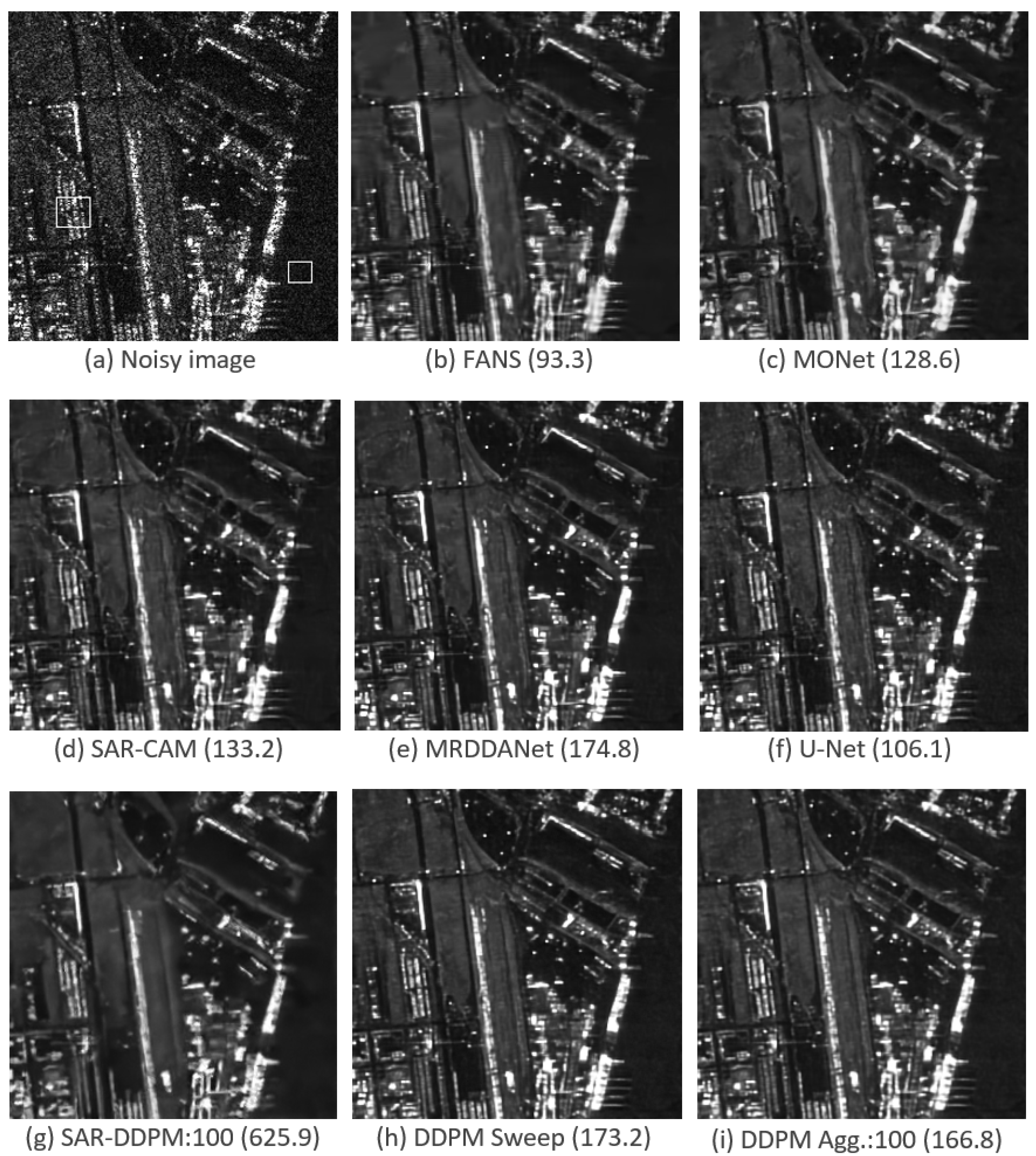 On Denoising Diffusion Probabilistic Models for Synthetic Aperture Radar Despeckling