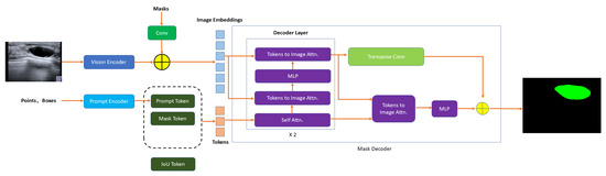 Deep Learning-Based Medical Ultrasound Image and Video Segmentation ...