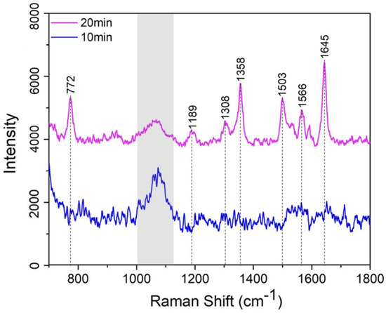 Thickness-Tunable PDMS-Based SERS Sensing Substrates