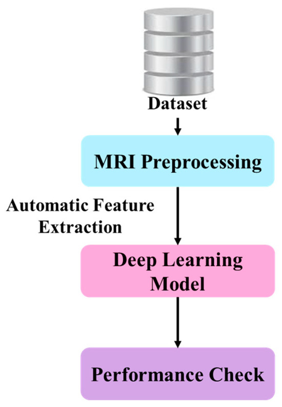 Advanced Deep Learning and Machine Learning Techniques for MRI Brain ...
