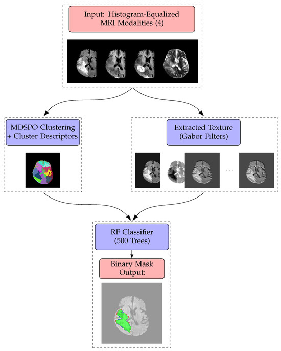 A Multidimensional Particle Swarm Optimization-Based Algorithm for Brain MRI Tumor Segmentation