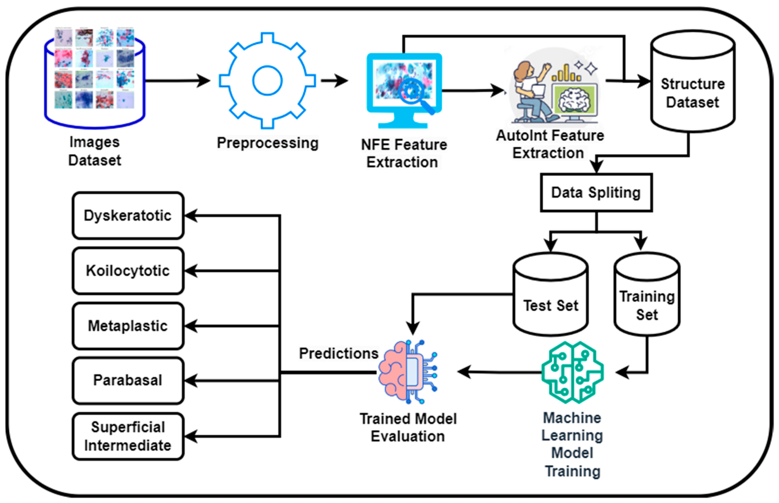Advanced Feature Extraction for Cervical Cancer Image Classification: Integrating Neural Feature ...