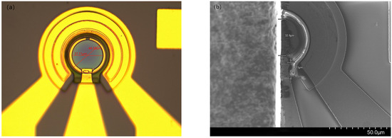 High-Speed and Broadband InGaAs/InP Photodiode with InGaAsP Graded ...