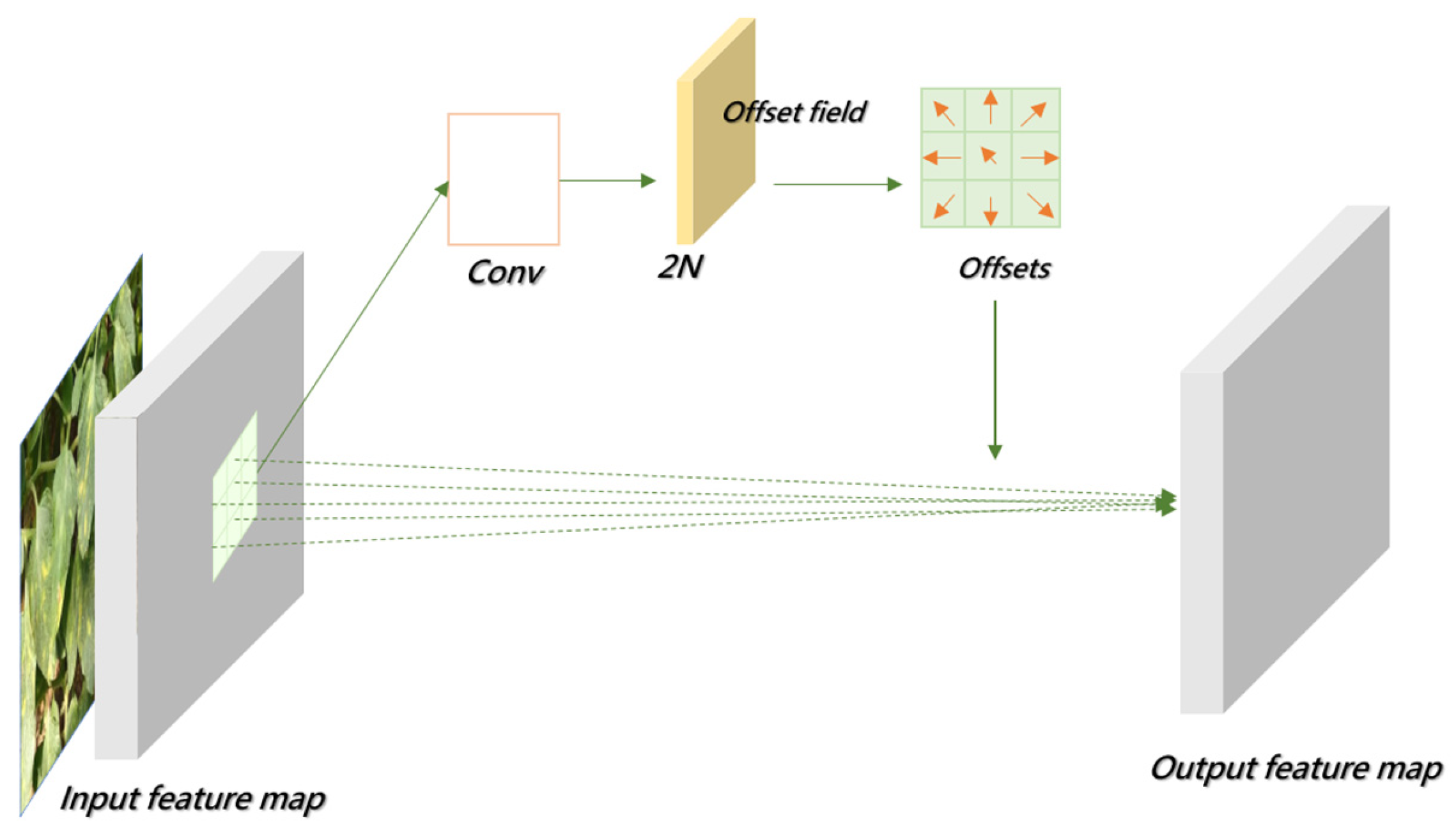 BED-YOLO: An Enhanced YOLOv10n-Based Tomato Leaf Disease Detection ...