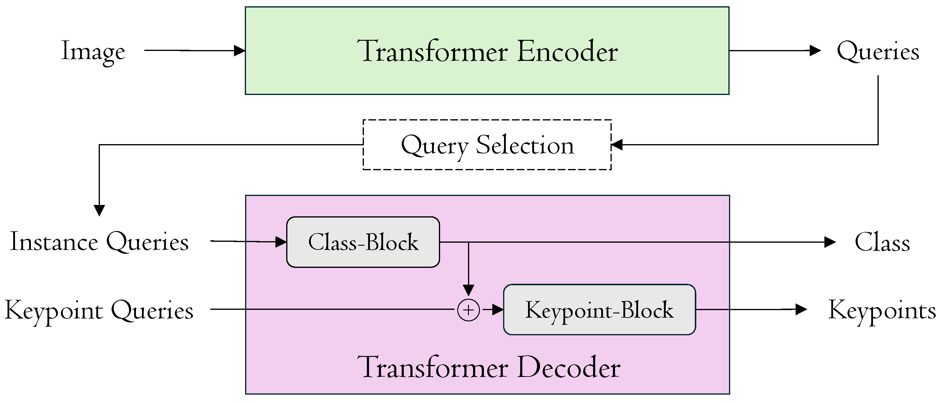 DualPose: Dual-Block Transformer Decoder with Contrastive Denoising for Multi-Person Pose Estimation