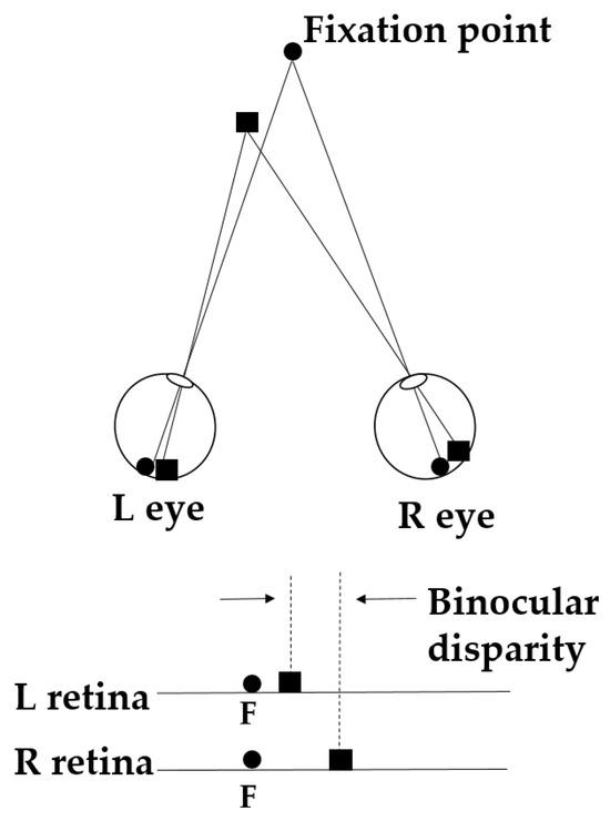 Depth Perception Based on the Interaction of Binocular Disparity and Motion Parallax Cues in ...