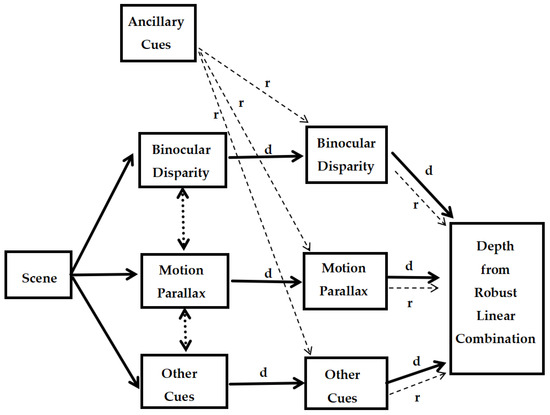 Depth Perception Based on the Interaction of Binocular Disparity and Motion Parallax Cues in ...