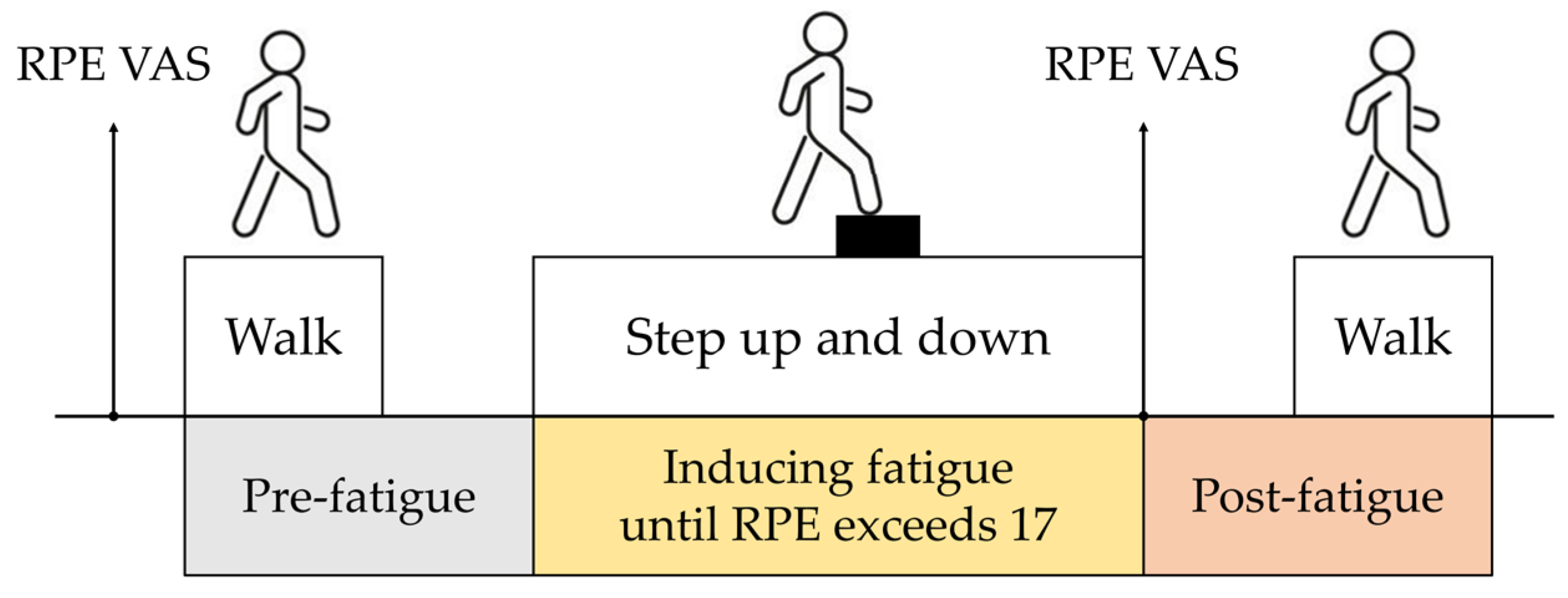 A Multimodal Fatigue Detection System Using sEMG and IMU Signals with a Hybrid CNN-LSTM ...