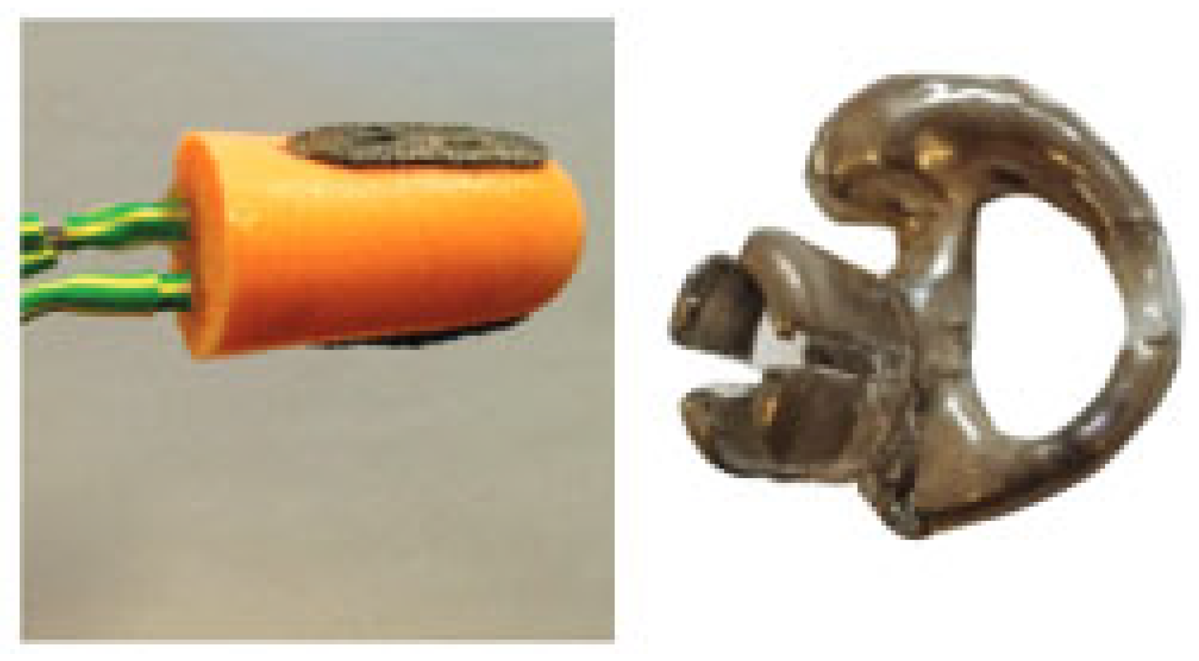 The Next Frontier in Brain Monitoring: A Comprehensive Look at In-Ear ...