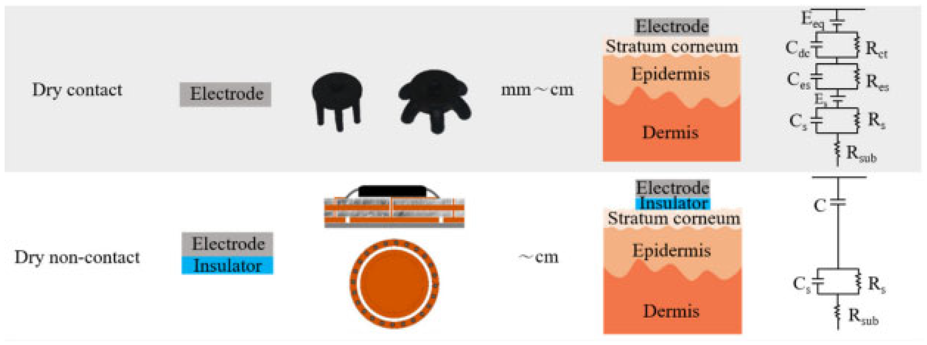 The Next Frontier in Brain Monitoring: A Comprehensive Look at In-Ear ...