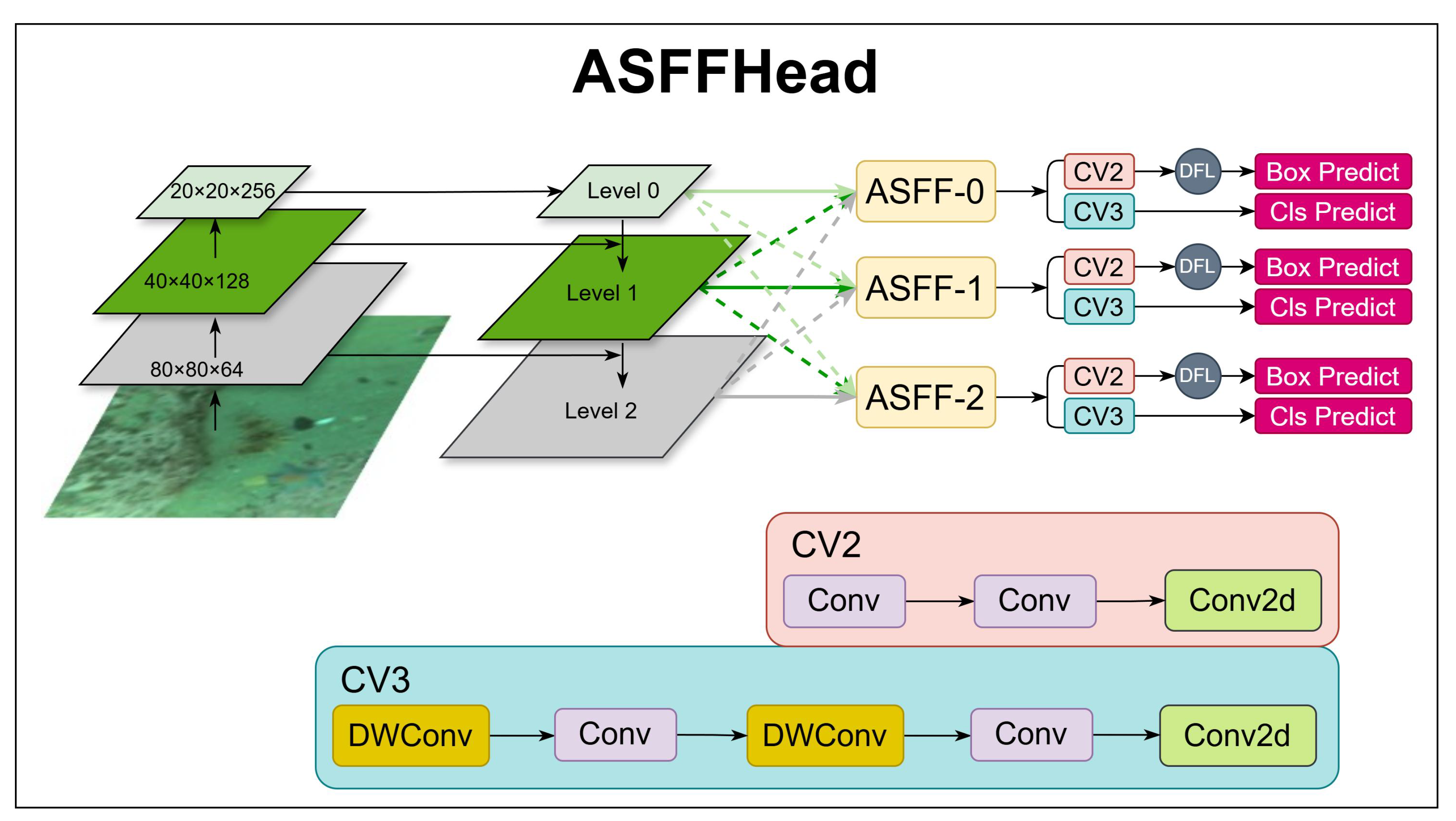 MAS-YOLOv11: An Improved Underwater Object Detection Algorithm Based on YOLOv11