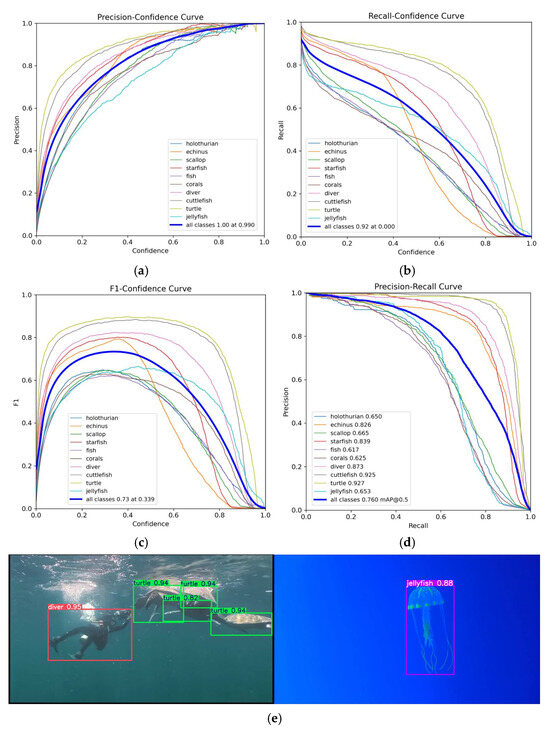 MAS-YOLOv11: An Improved Underwater Object Detection Algorithm Based on YOLOv11