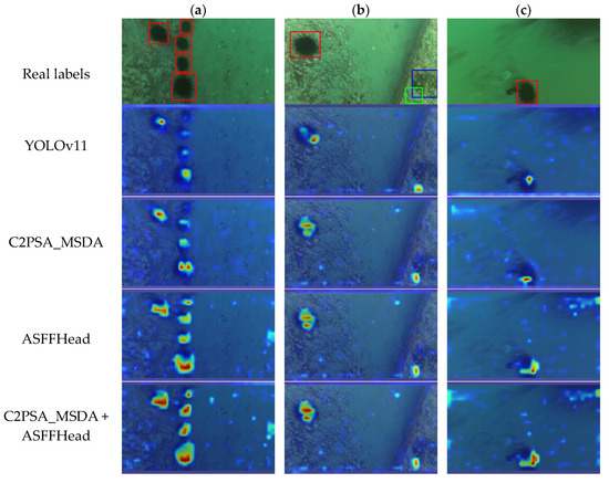 MAS-YOLOv11: An Improved Underwater Object Detection Algorithm Based on YOLOv11