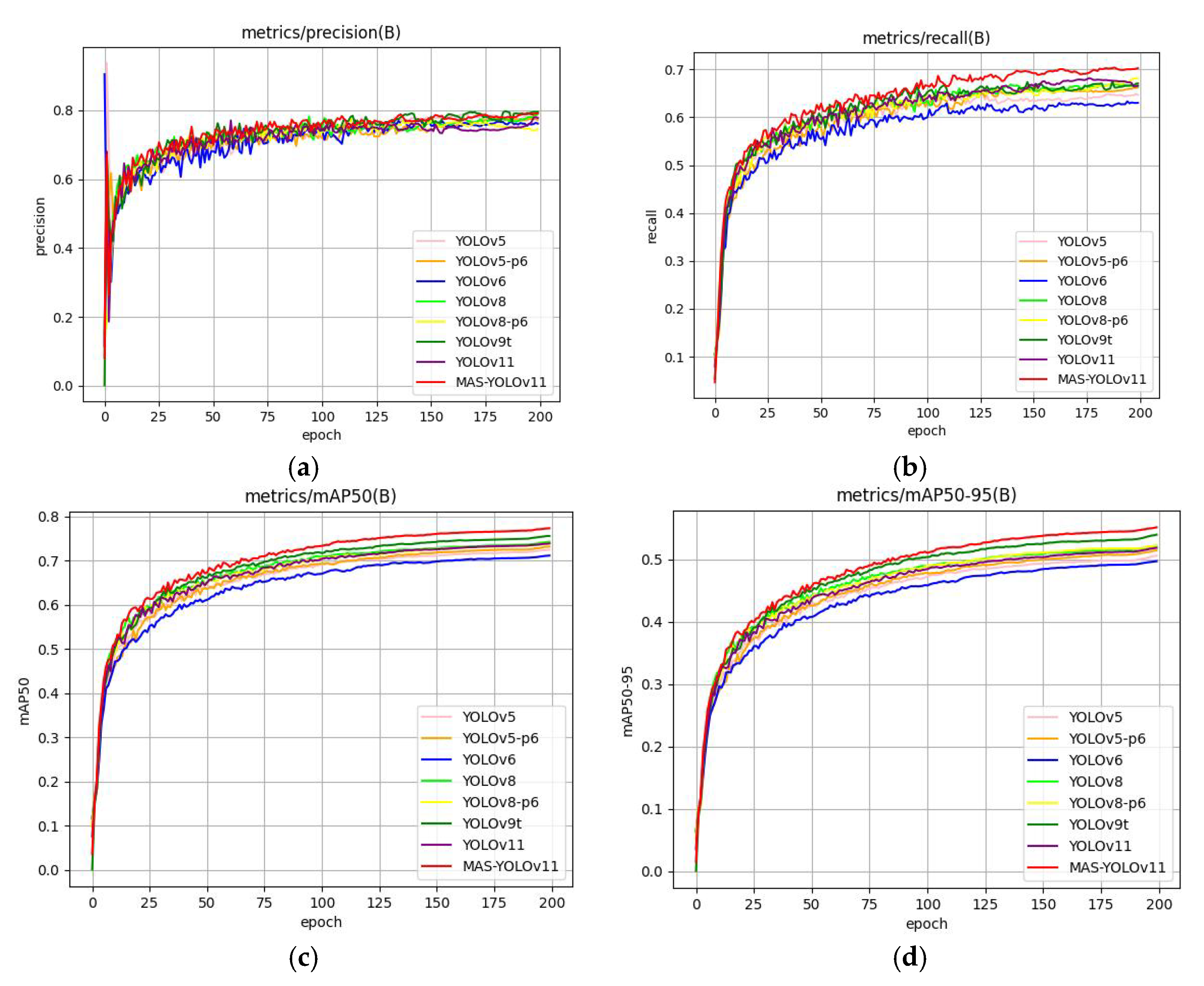 MAS-YOLOv11: An Improved Underwater Object Detection Algorithm Based on YOLOv11