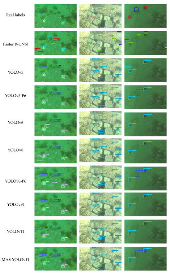 MAS-YOLOv11: An Improved Underwater Object Detection Algorithm Based on YOLOv11