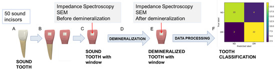 Classification Algorithms for Early Tooth Demineralization Assessment ...