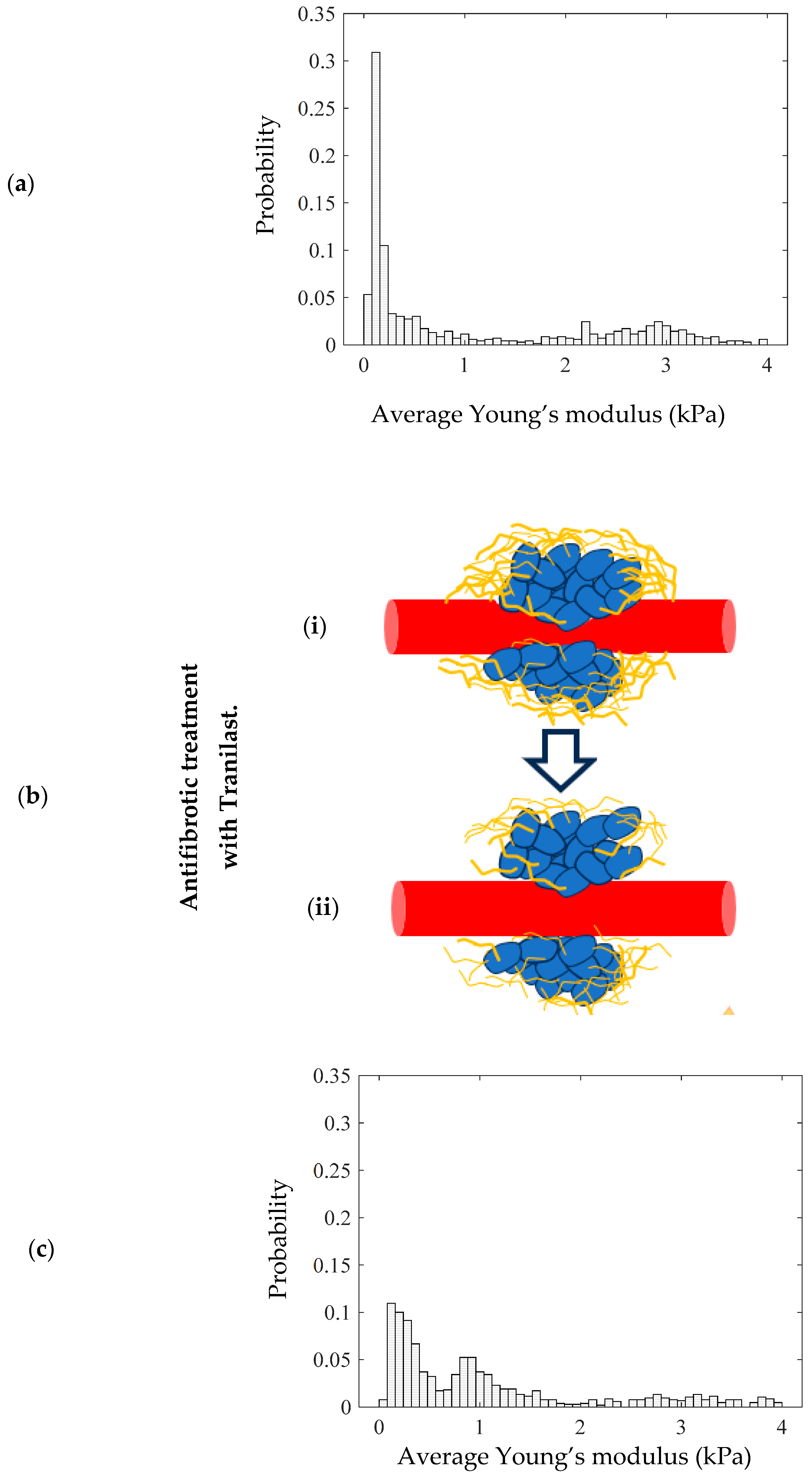 The Young’s Modulus as a Mechanical Biomarker in AFM Experiments: A ...